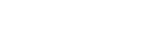 Vivo Lte Y19S | V2419 – Celular Express